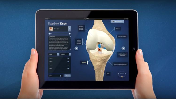 Understand the Anatomy and Pathologies of the Knee. - Sports Medicine ...