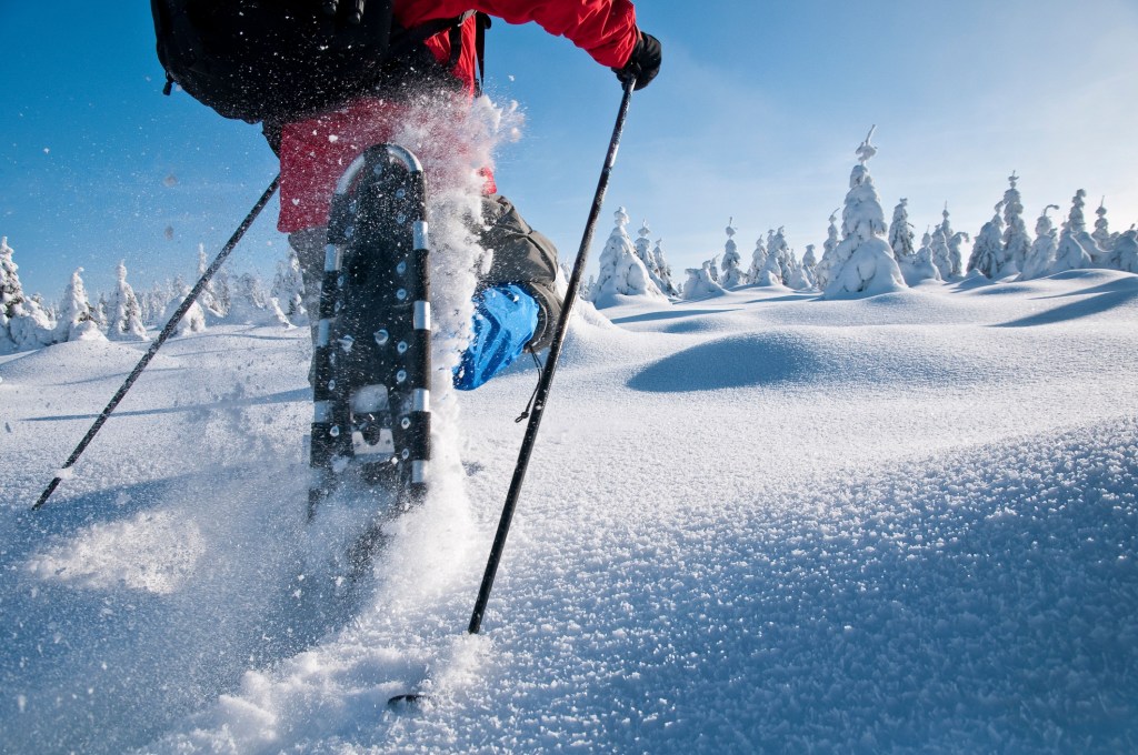 Embracing the Chill: Winter Activities to Stay in Shape - Sports ...