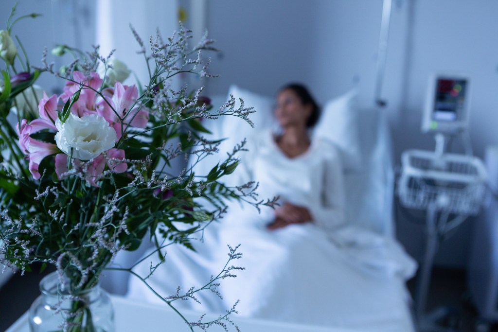 The Healing Power of Nature: How Flowers Support Recovery - Sports ...